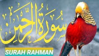 Surah Al Rahman Full By Sheikh Abdur Rahman Sudais Wi Doovi