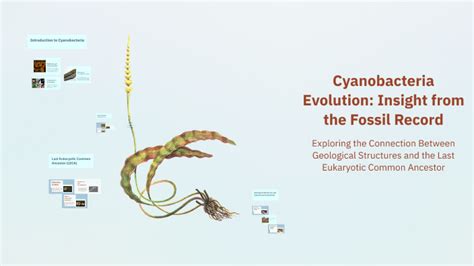 Cyanobacteria Evolution Insight From The Fossil Record By Shatha Q On Prezi