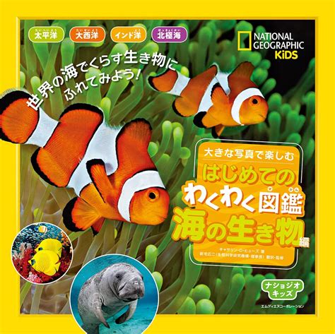 ナショジオキッズ 大きな写真で楽しむ はじめてのわくわく図鑑 海の生き物編 キャサリンDヒューズ Amazon au Books