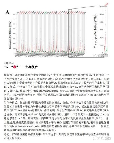 超高性价比一点点实验就能搞定5 干湿结合代表作跟着学就对了 知乎