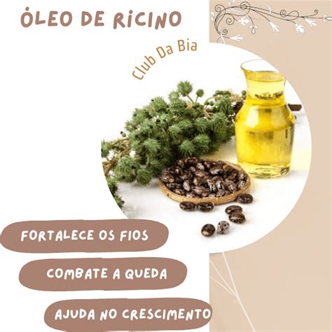 Óleo De RÍcino E Seus BenefÍcios Como Usar Óleo De RÍcino Beatriz Labat