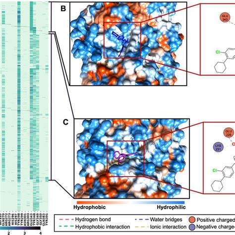 Binding Conformations Of Tc Lpa5 4 With Hpse Identified From The 2500