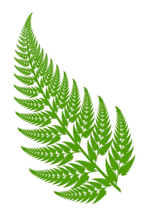 Fern Leaf Symbol Stock Illustrations 4993 Fern Leaf Symbol Stock