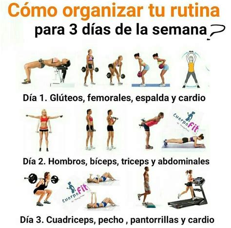 Rutinas Rutinas De Ejercicio Gimnasio Rutinas De Entrenamiento