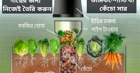 গাছের জন্য ভার্মিকম্পোস্টিং সিস্টেম নিজেই তৈরি করুন। Make Your Own Vermicomposting System For