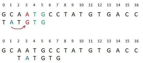 Boyer Moore String Matching Algorithm By Sandesh Bhusal Algopods