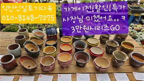 익산신일토기다육다육화분가게이전특가사장님 미쳤어요3만원시리즈010 8148 7275 Youtube