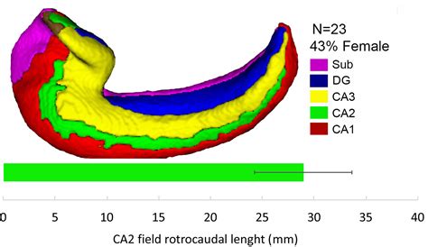 Hippocampus Neuroscience Journal Wiley Online Library