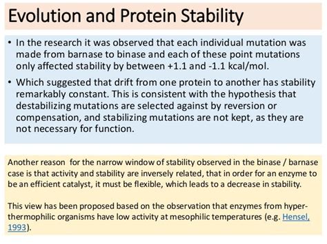 Protein Stability