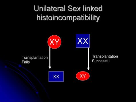Ppt Immunology Of Transplantation And Malignancy Powerpoint Presentation Id1751792