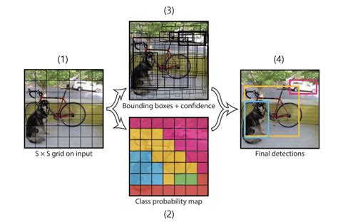 Object Detection With Yolo