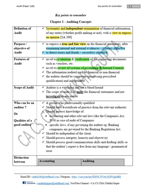 chapter 1 short notes pdf audit financial audit