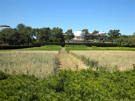 The Morrow Plots Urbana Illinois Atlas Obscura