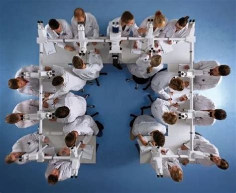 Carl Zeiss Multi Head Microscope At ₹ 2700000 Piece In New Delhi Id 19137407988