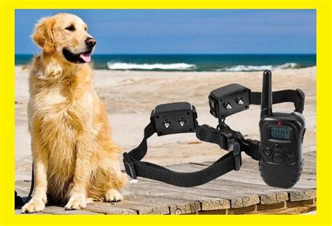 Электронный Ошейник для Тренировки Собак Dog Training — Купить Недорого ...