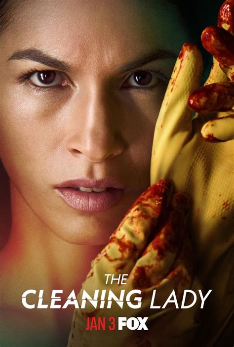 Sección visual de La chica de la limpieza Serie de TV FilmAffinity