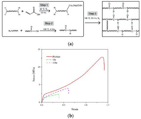 A Synthesis Of Double Network Self Healing Elastomers With Mixed