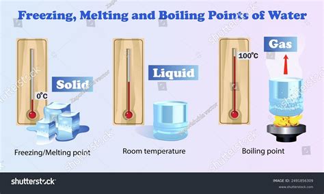 Freezing Melting Boiling Points Water Science Stock Vector Royalty
