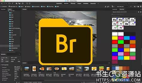 资源管理软件adobe Bridge Cc 2019 900 Win中文英文破解版资产