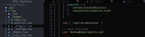 NvimTree Background Color Is Not Transparent As Before Issue Sainnhe Edge GitHub