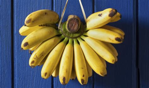 Buccia Di Banana 5 Opzioni Di Riuso Stileit