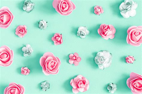 꽃 조성물 민트 배경에 장미 꽃으로 만든 패턴 플랫 레이 상단 보기 0명에 대한 스톡 사진 및 기타 이미지 0명 3월 8 Istock