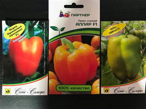 Сорта сладких перцев которые посею в этом сезоне Виталий Декабрев Дзен