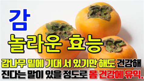 감의 놀라운 효능 7가지 And 부작용 감의 건강 마법 비타민과 식이섬유의 보물 Youtube