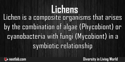 Lichens Neetlab
