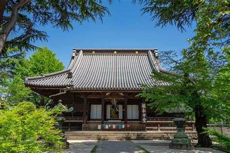 寺から学ぶ ～散策ガイドツアー～ 寛永寺編【11月27日】 culture nippon