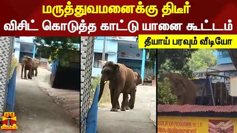 மருத்துவமனைக்கு திடீர் விசிட் கொடுத்த காட்டு யானை கூட்டம் தீயாய்