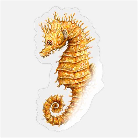 Hippocampus Stickers Unique Designs Spreadshirt