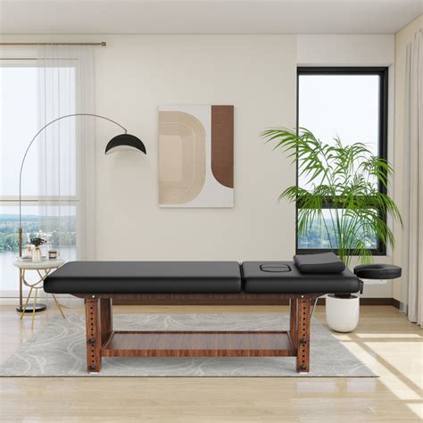 Alwyn Home Sanjana 75 Professional Massage Table Height Adjustable
