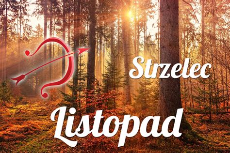 Horoskop Strzelec Listopad 2024 Horoskop Miesięczny