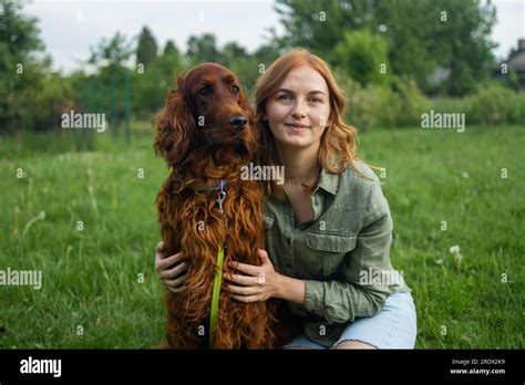 Red Irish Setter Outdoor Training Process Beautiful Blonde Smiling