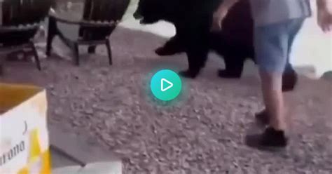 Mike Album On Imgur