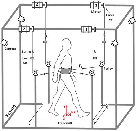 Perturbation Training Roar Lab