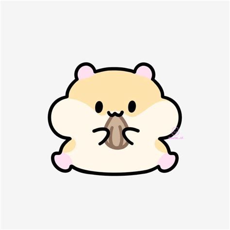 Hamster Drawings