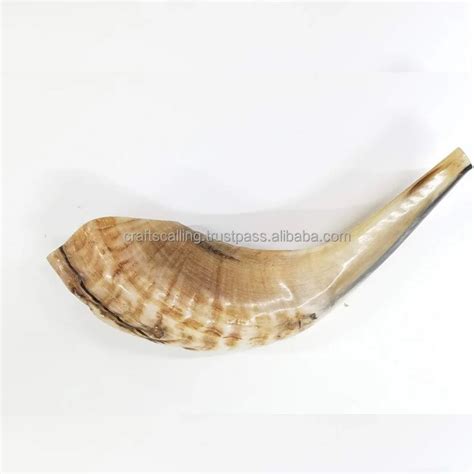 Natural Handmade Kudu Ram Horn Shofar Natural Horn Shofar For Blowing