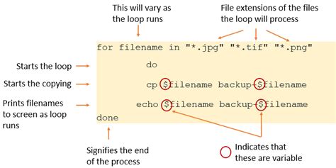 Potential Solutions To Practice Exercises Introducing Computational