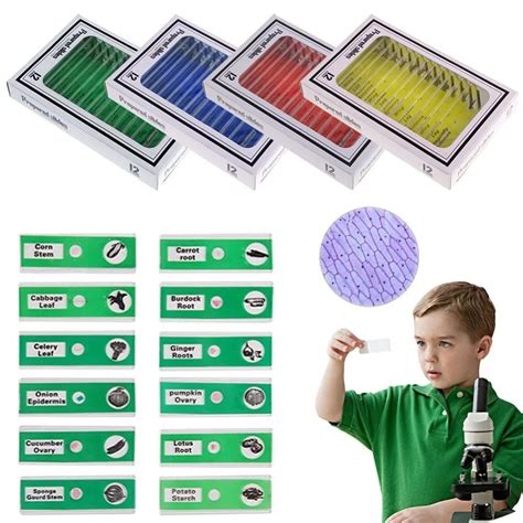 48pcs Plastic Prepared Microscope Slides Puzzle Biological Specimen