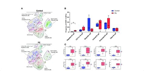 Total B Cells Decreased While The Migration Of B Cells Increased Download Scientific Diagram
