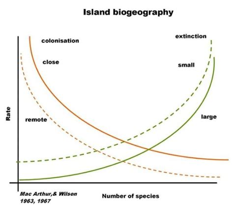 Island Biogeography Theory And Examples Biology Dictionary