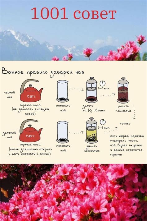 Важное правило заправки чая | Чай, Зеленый чай, Здоровые напитки