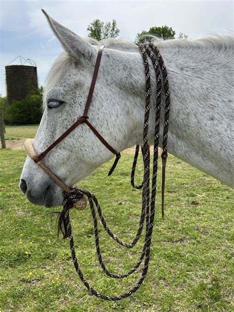 Bosal Hanger Headstall
