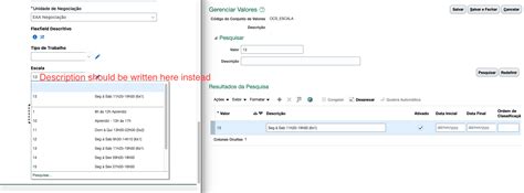 Descriptive Flexfield Shows Description Instead Of Values Cloud Customer Connect