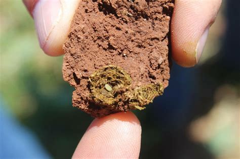 How Can You See Soil Health NM Healthy Soil Working Group