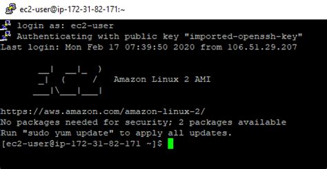 You Will See The Console After A Successful Login