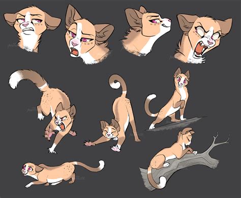 Cypress Sketch Page By Nightrizer On Deviantart