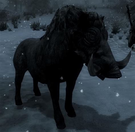 Tatabro Dragonborn Elder Scrolls Fandom